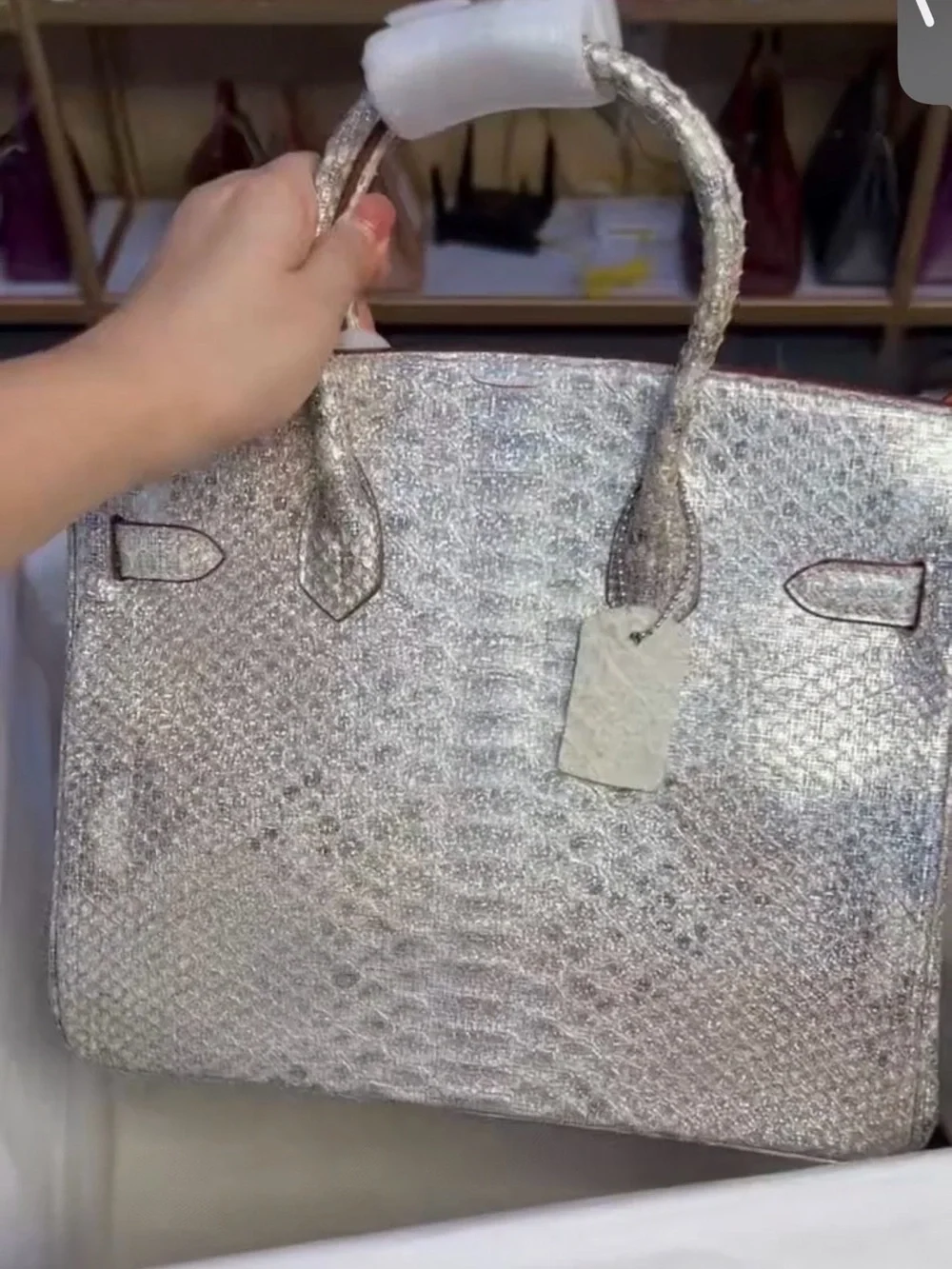 Bags | H Birkin 25 Metallic Silver Python Phw Iridescent Reflective ...